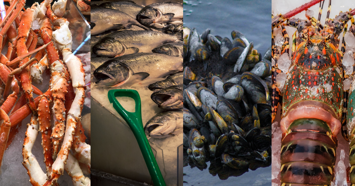 What is a Dampa? - Online Baking and Cooking Classes - The Bailiwick ...